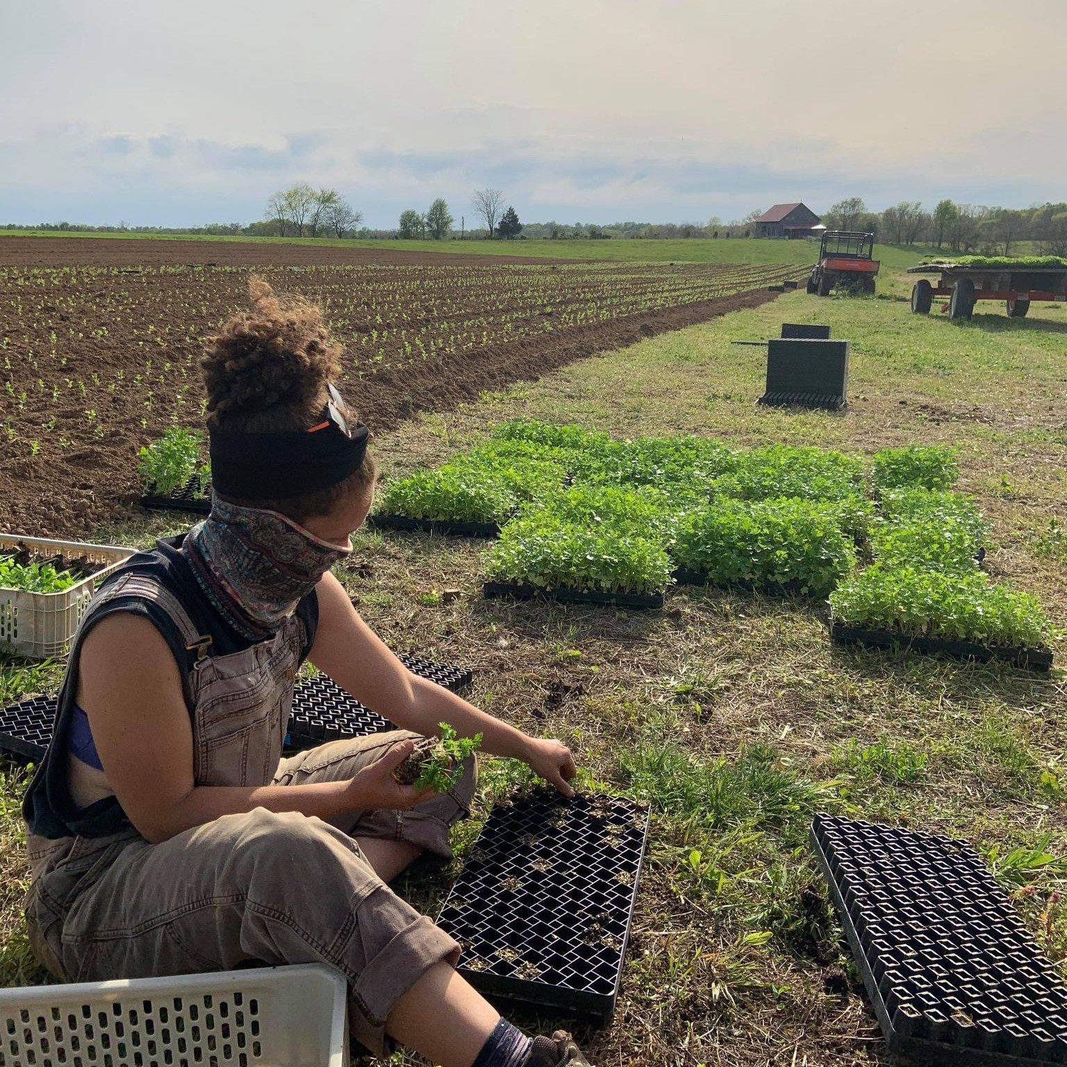 Community Farm Alliance: Making Farmers Markets Stronger - Appalachian ...